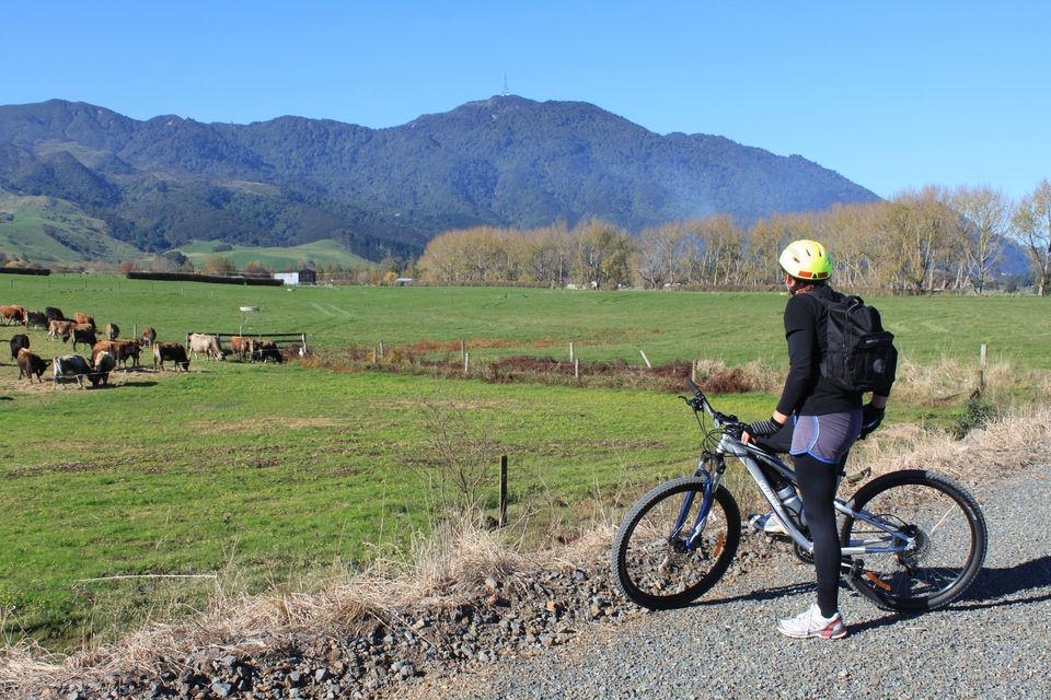 Cycling the Hauraki Rail Trail - Women Travel NZ