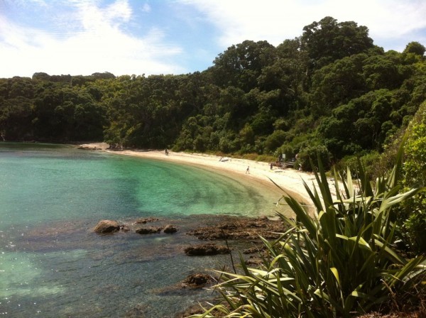 Tiritiri Matangi - An Island Paradise Near Auckland - Women Travel NZ