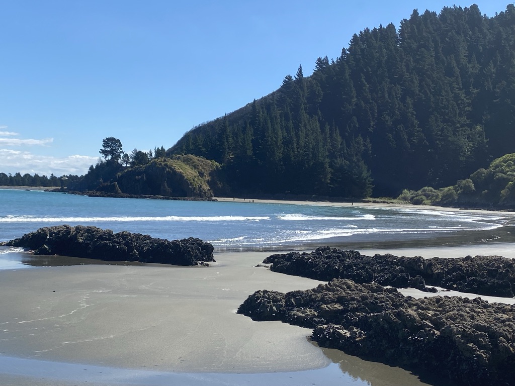 Pukatea - Whites Bay Blenheim - Women Travel NZ