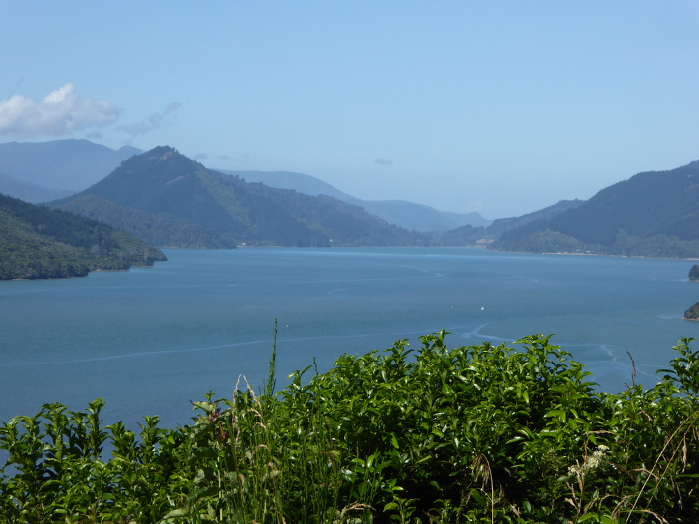 Exploring the Marlborough Sounds - Women Travel NZ